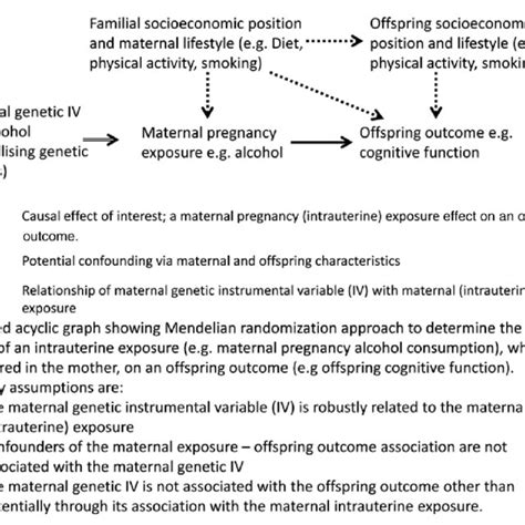 Directed Acyclic Graph Illustrating Use Of Mendelian Randomization To