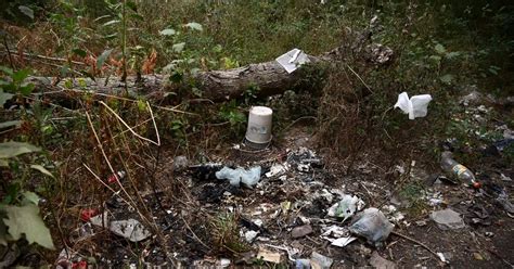 La Sangre Es La Prueba Clave Para Indagar Al Detenido Por El Femicidio
