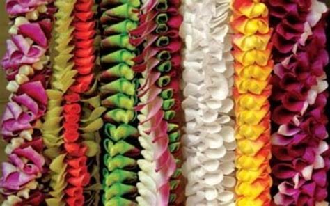Fresh Hawaiian Leis By Aloha Hawaiian Flowers And Ts In Kailua Kona