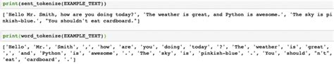 how to tokenize text in python thinking neuron