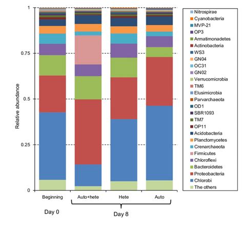 Phylum Level Microbial Community Composition In Experiment 2