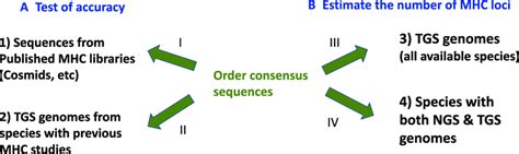A Tests Of The Accuracy Of Our Consensus Sequences For Blast And B