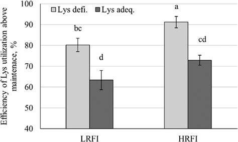 Effects Of Lys Intake And Divergent Selection For Rfi On The Efficiency