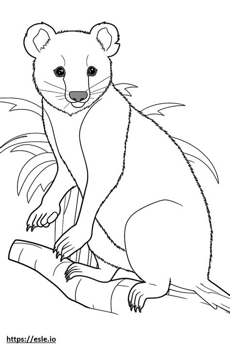 アジアのハクビシンの赤ちゃん ぬりえ 塗り絵