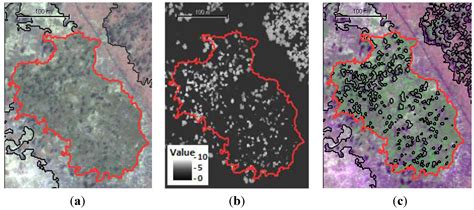 Remote Sensing Free Full Text Mapping Aquatic Vegetation In A