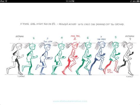 animation reference learn animation animation storyboard