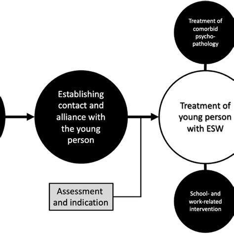 Developmental Psychopathology Model For The Etiology Of Extreme Social