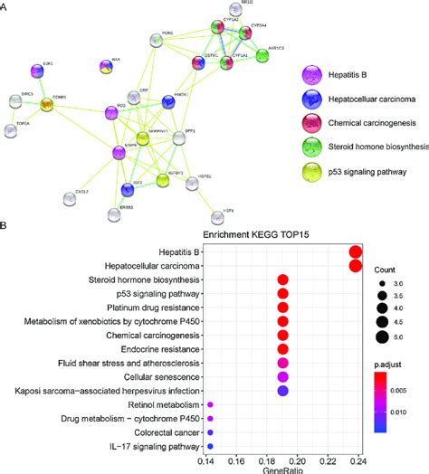 A Protein Protein Interaction Network Of Core 24 Genes B Kegg