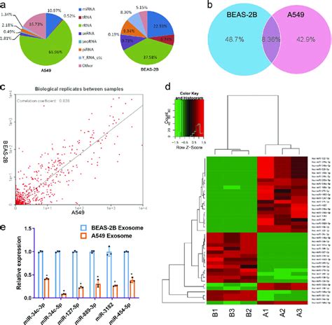 Profiles Of Mirna Expression In Exosomes Derived From Different Cells