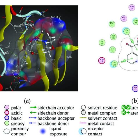 3d Binding Mode Of The Four Tested Compounds With The Atp Binding Site
