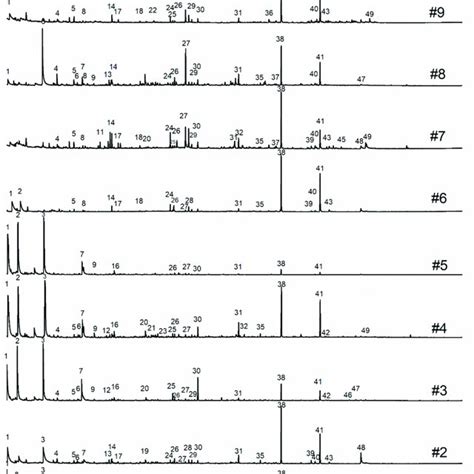 Py Gc Ms Total Ion Chromatogram Tic Of The Gilding Samples