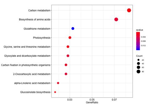 07 Functional Enrichment Analysis Introduction To Rna Seq