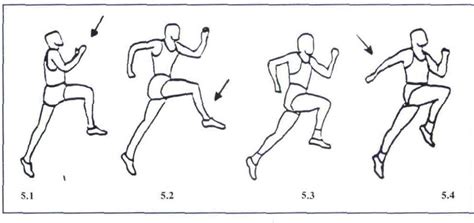 [pdf] Model Technique Analysis Sheet For The Horizontal Jumps Part Ithe