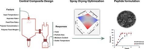 Pectin Microparticles For Peptide Delivery Optimization Of Spray
