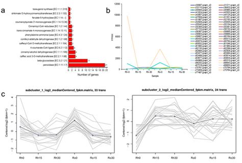 Biomolecules Free Full Text Comparative Transcriptomic Analysis