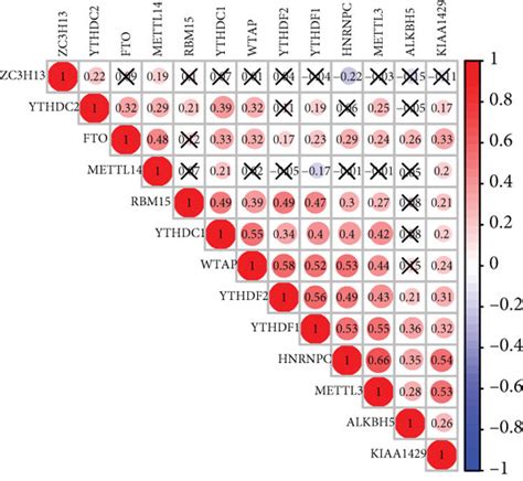 Identification Of Hcc Subtypes Using Consensus Clustering A B