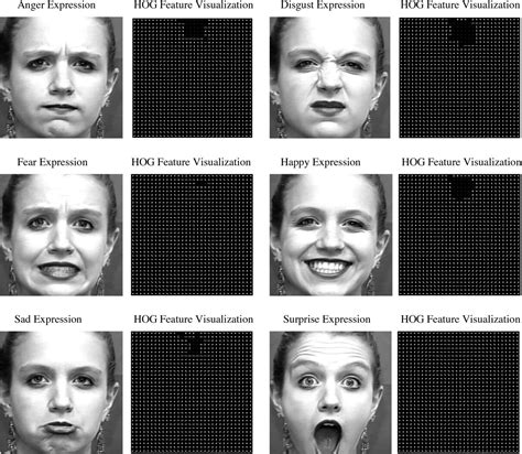 Automatic Facial Expression Recognition Combining Texture And Shape