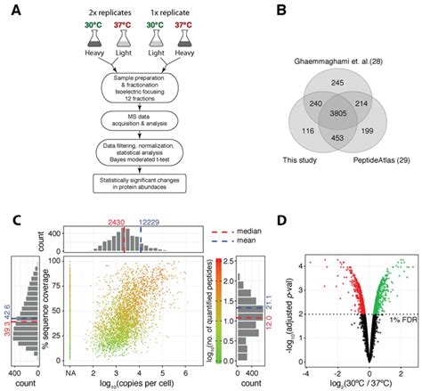 Quantitative Proteomics Of The Heat Stress Response A Schematic