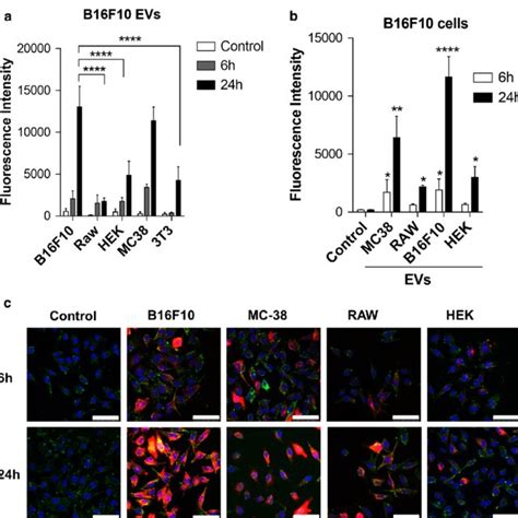 Cell Type Specific Uptake Of B16f10 Evs A B16f10 Raw264 Hek293t