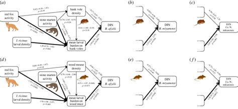 Path Diagrams Showing Direct And Indirect Correlations Of Predator