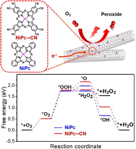 Theory Driven Design Of Electrocatalysts For The Two Electron Oxygen