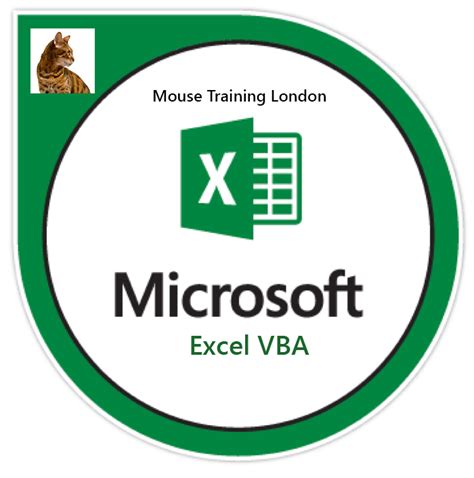 excel vba introduction 1 day training course mouse