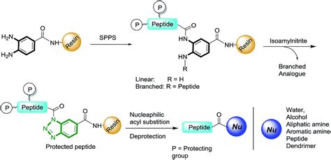 Expedient On Resin Modification Of A Peptide C Terminus Through A