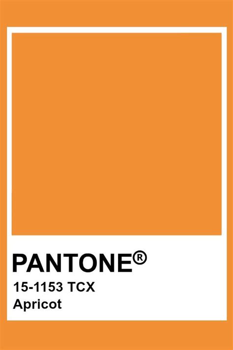Pantone Apricot Pantone Color Chart Pantone Orange Pantone Palette