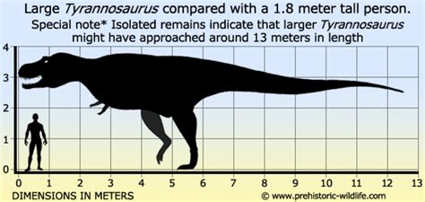 Tyrannosaurus Rex Quick Facts Owlcation