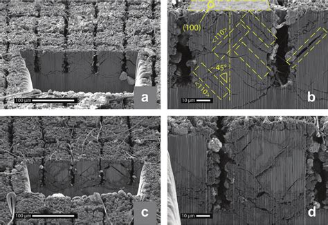 Scanning Electron Micrographs Of The Si Anode Towers After A B 100