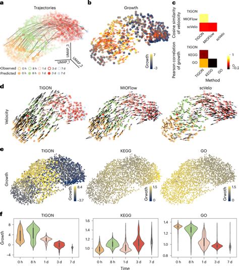 Comparisons Of Tigon With Trajectory Inference Or Growth Inference