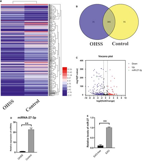 The Expression Of Mirna‐27 In Two Groups Of Exosomes A Heat Map Of