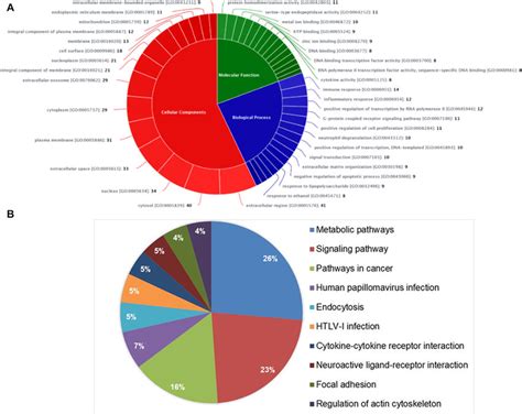 Functional Classification Of S Mar Associated Genes A Classification