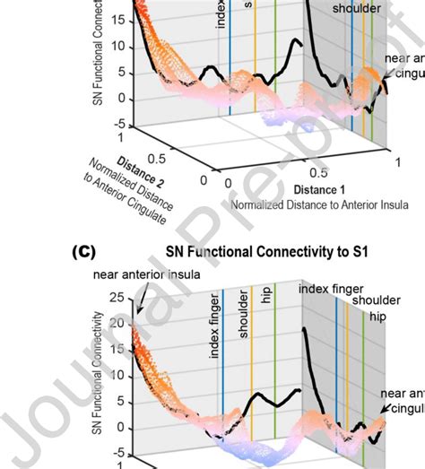 The Relationship Of Salience Network Sn Resting State Functional