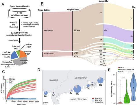 Overview Of The Dataset Of Oyster Virome Dov A De Novo Assembly And