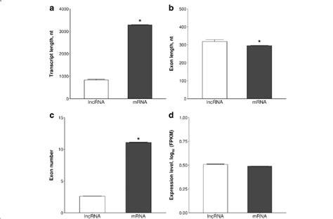 The Comparison Of Genomic Features Of The Identified Lncrnas And Mrnas