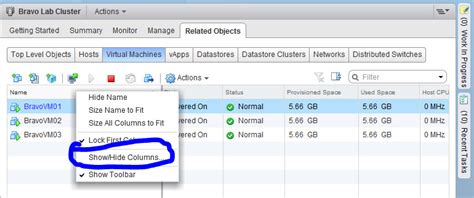 lab 22 implementing a vsphere drs cluster net701 netapp and vmware labs