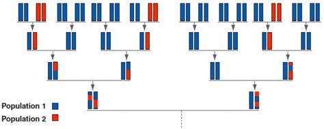 Ddls Population Genomics In Practice Population Structure
