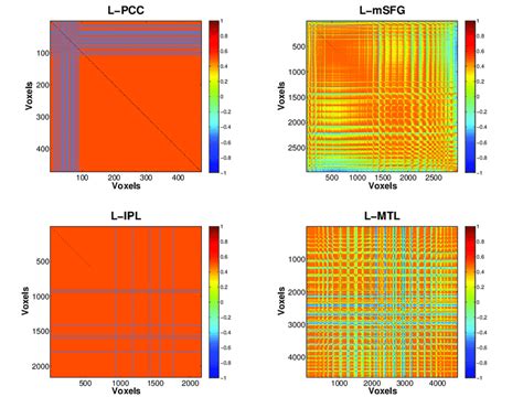 Estimated Within Roi Voxel Wise Functional Connectivity Matrices From