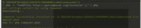 composer could not open input file composer phar ~ cloudread