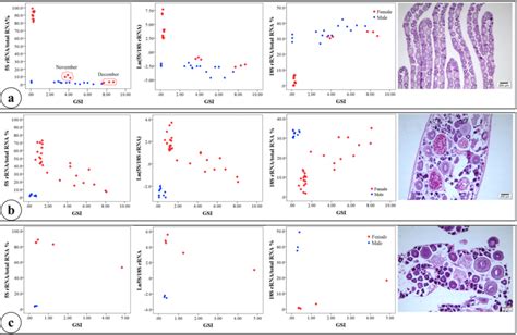 Ribosome Rna Rrna Profiling In Gonads As Powerful Sex Marker In