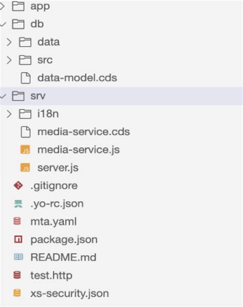Sap Development Mastering Sap Ui5 Btp Fiori Capm Rap Abap And