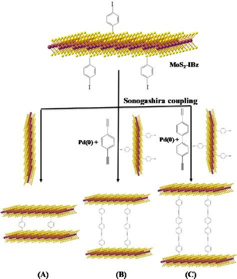 Scheme 2 Schematic Representation Of Synthesis Of Assemblies Of