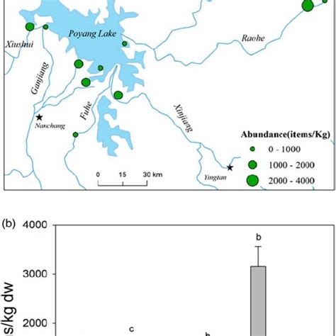 Pdf Distribution And Characteristics Of Microplastics In The