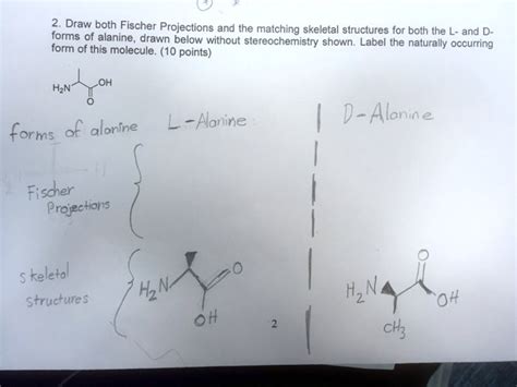 Solved Draw Both Fischer Projections And The Matching Skeletal