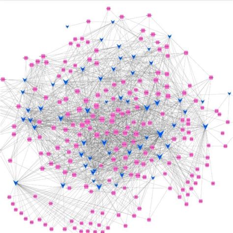 The Coding Non Coding Co Expression Network Of Differentially Expressed