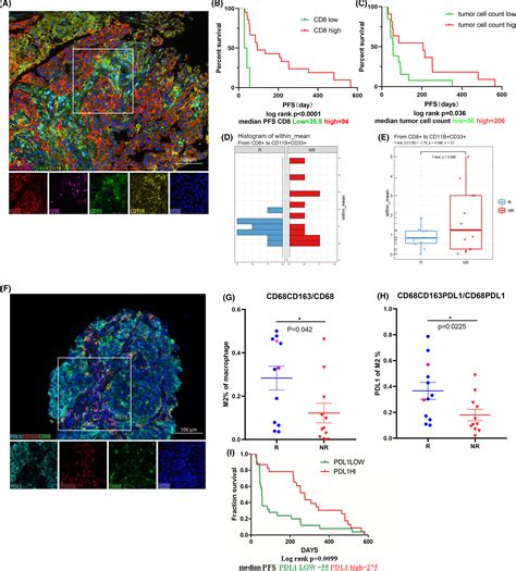 Nlrp4 Negatively Regulates Type I Interferon Response And Influences