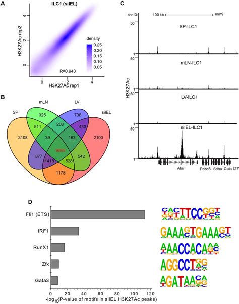 14 Chip Seq Venn Diagram Mairearthor