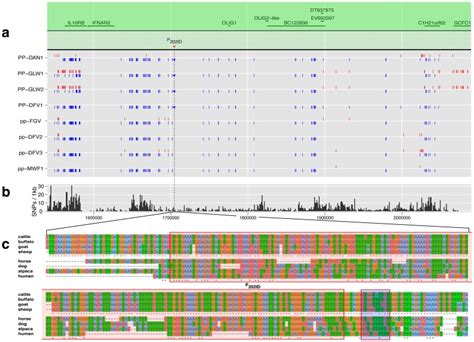 A Snp Genotypes The Genomic Position Of Dna Sequence Variants Dsv