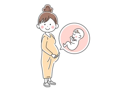 夫と妊婦の妻（夫婦）の無料イラスト イラストセンター